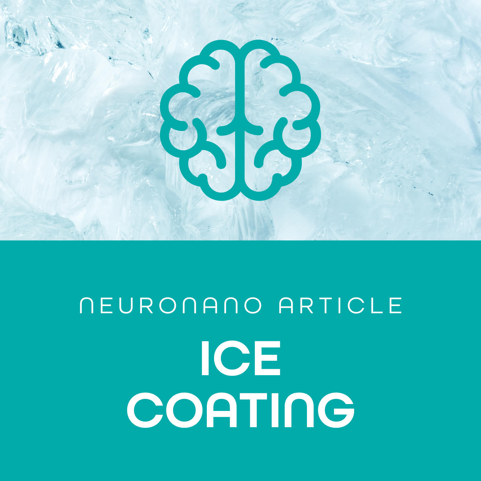 Ice coating | Neuronano®